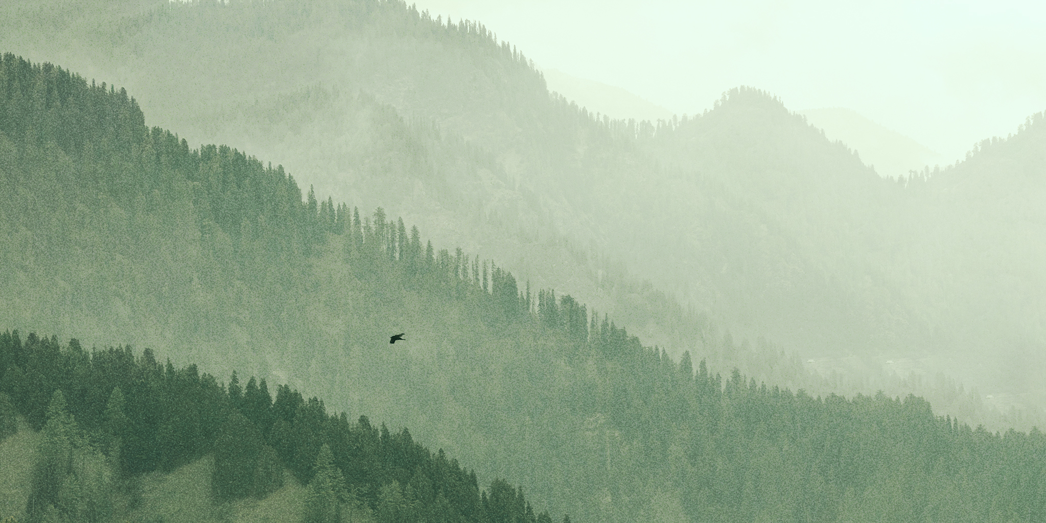 Birth Control for PMDD: Treatments and Options - Belle Health